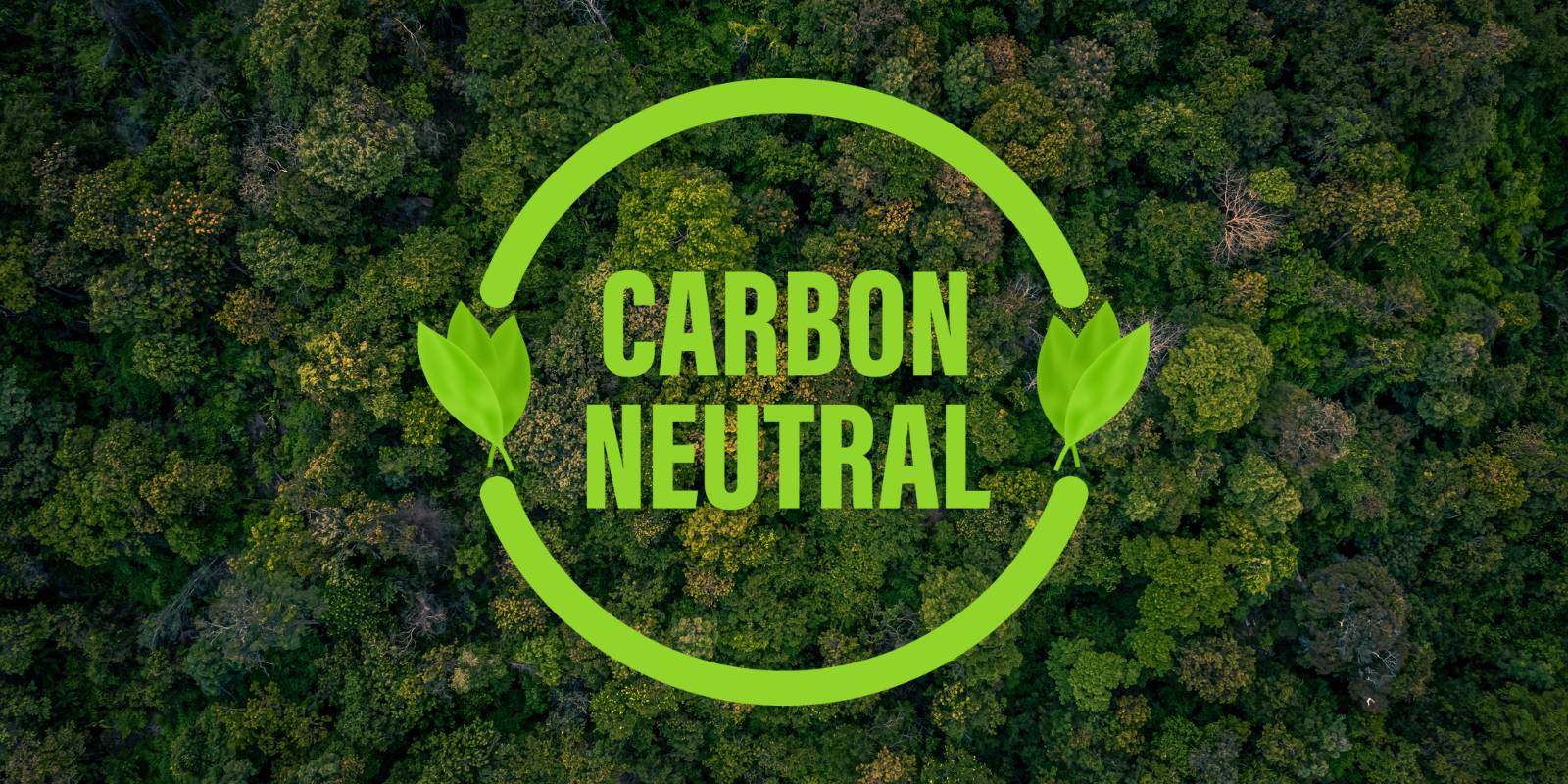 Carbon Neutral Logistics Business | HBC Logistics